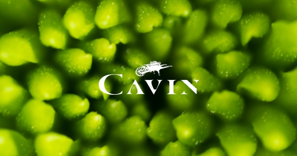 花のスタートアップをグロースさせる、フロントエンジニア募集！ - CAVIN Inc.のエンジニアリングの採用 - Wantedly