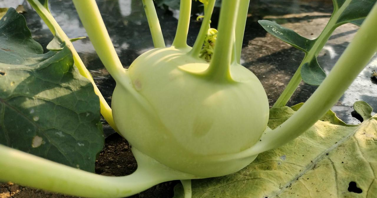 PHP経験者優遇。エンジニア募集。 - 合同会社REPOCのWebエンジニアの採用 - Wantedly