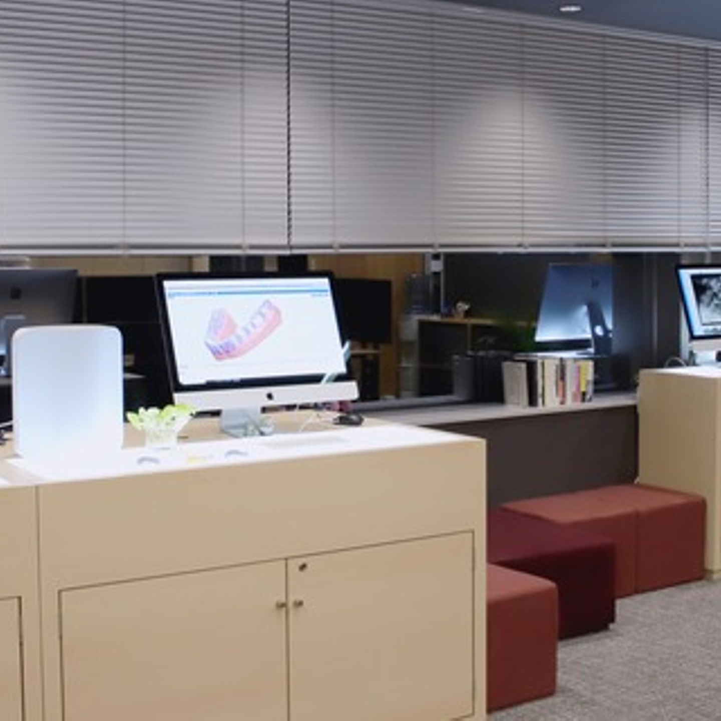 株式会社RAY JAPANの会社情報 - Wantedly