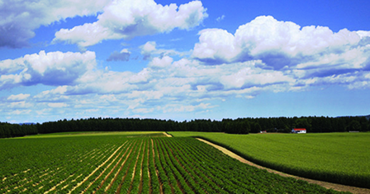 「Movable Type」で、圧倒的な驚きと感動を追い求めたい人を募集！ - 株式会社ファームノートのPM・Webディレクションの採用 - Wantedly