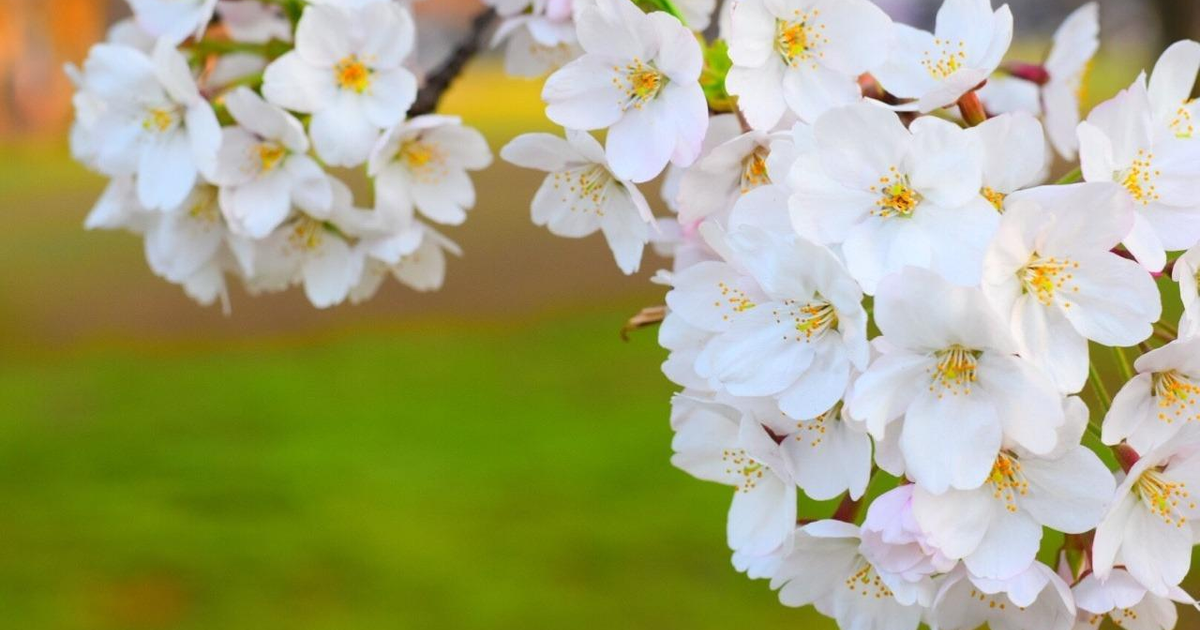 0からでも大丈夫！ENGEIが徹底サポートします！！ - 株式会社ENGEIのWebエンジニアの採用 - Wantedly