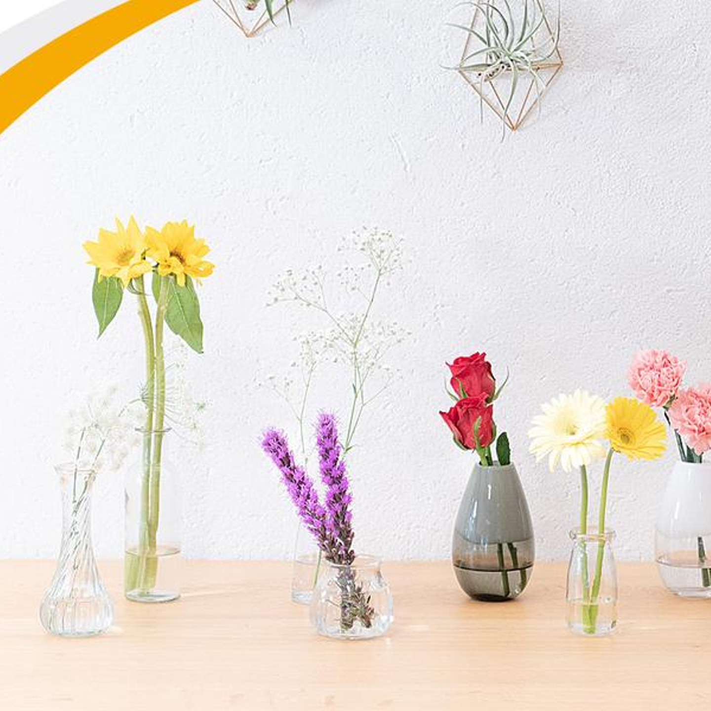 株式会社frantoliveの働き方とストーリー - Wantedly