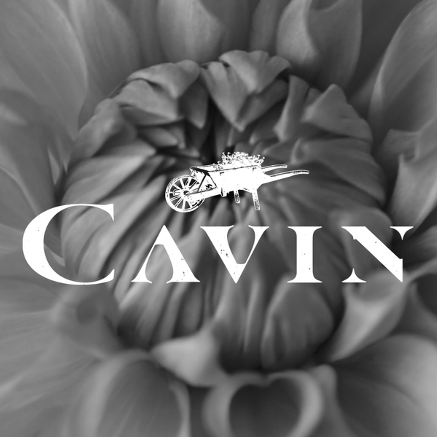 CAVIN Inc.の会社情報 - Wantedly