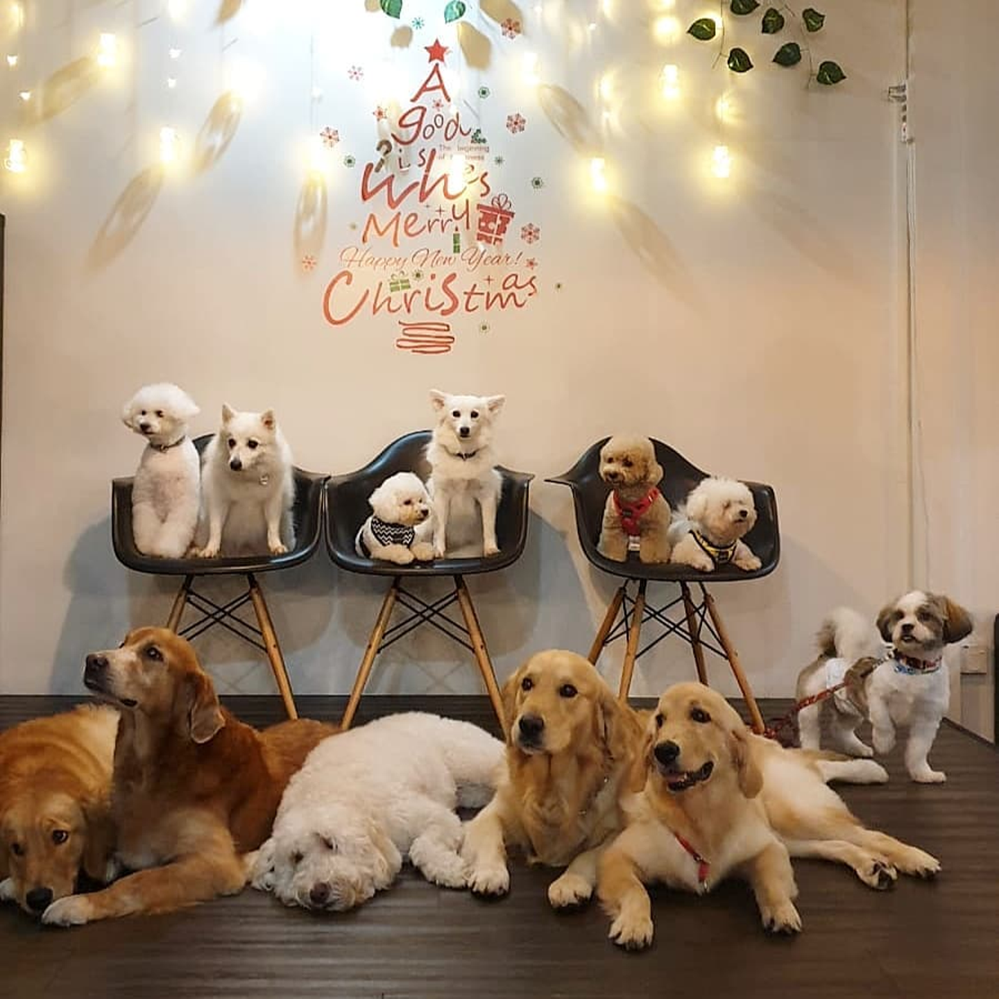 What's new from Ah B Cafe - Wantedly