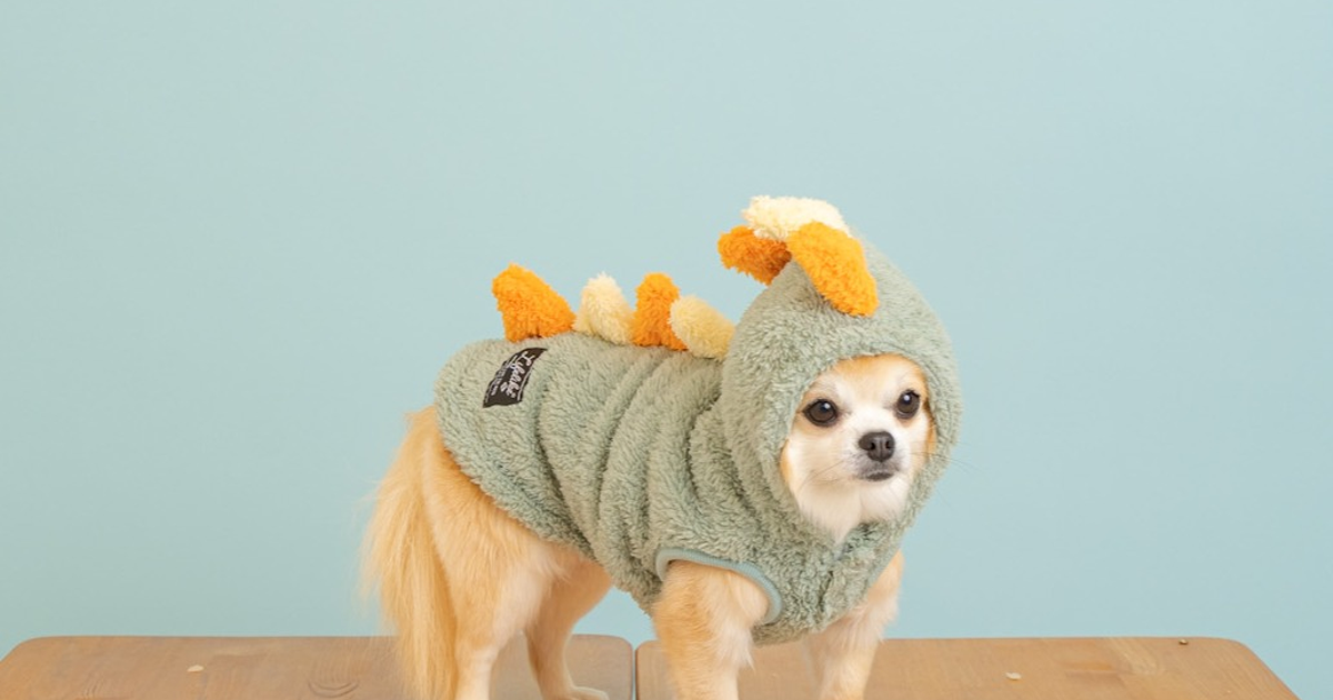 WEBエンジニアさん！磨いたスキルを活かせる働き方に興味はありませんか？ - 合同会社aciassのWebエンジニアの採用 - Wantedly