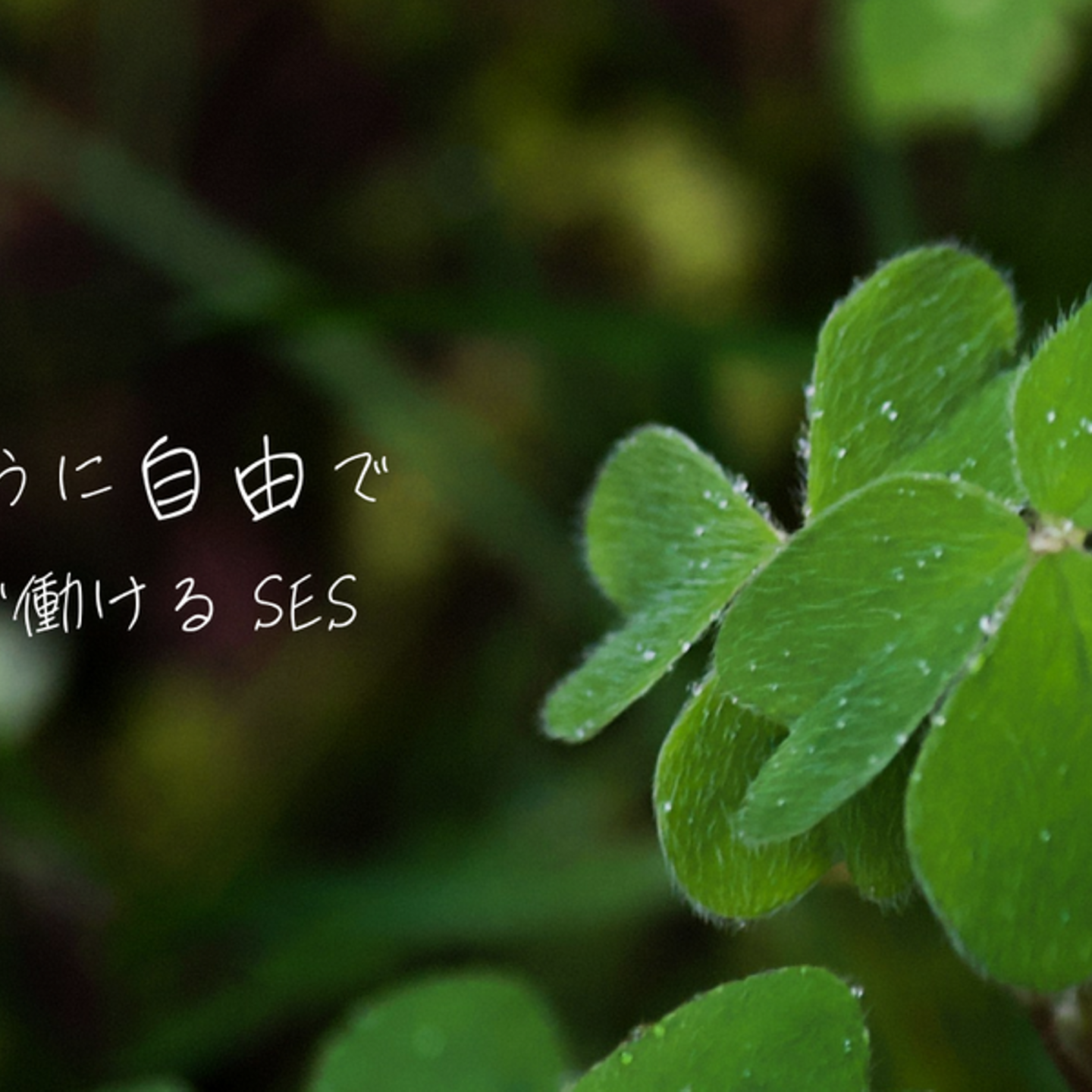 株式会社Euphonautsの会社情報 - Wantedly