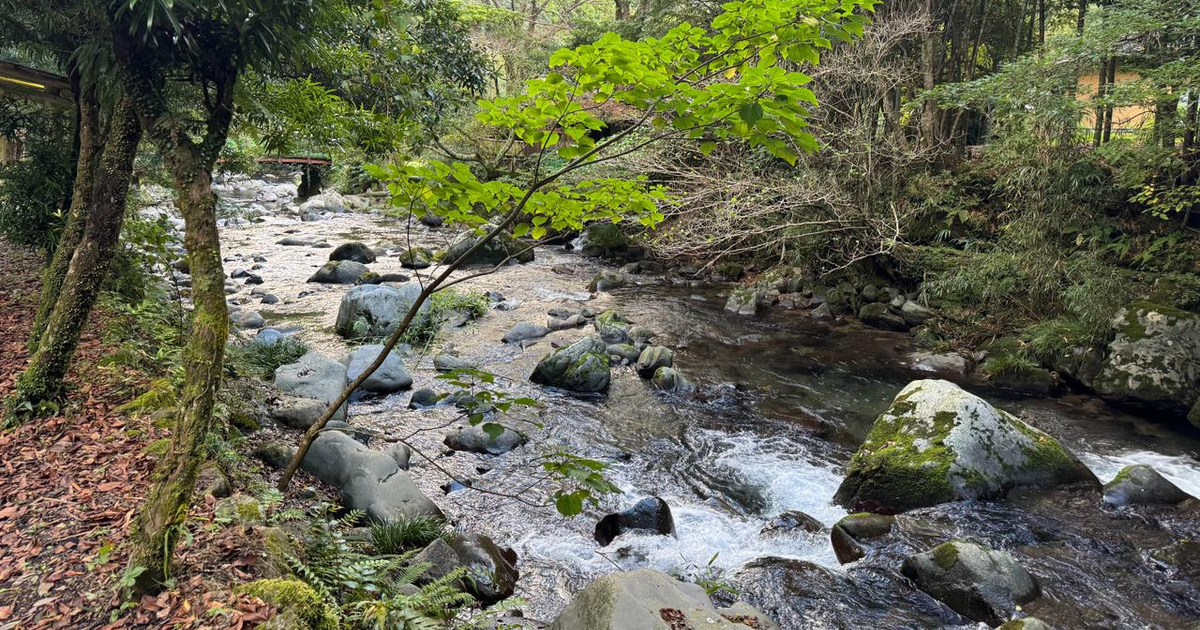 多様な刺激が欲しいWEBエンジニア募集中です！ - 合同会社aciassのWebエンジニアの採用 - Wantedly