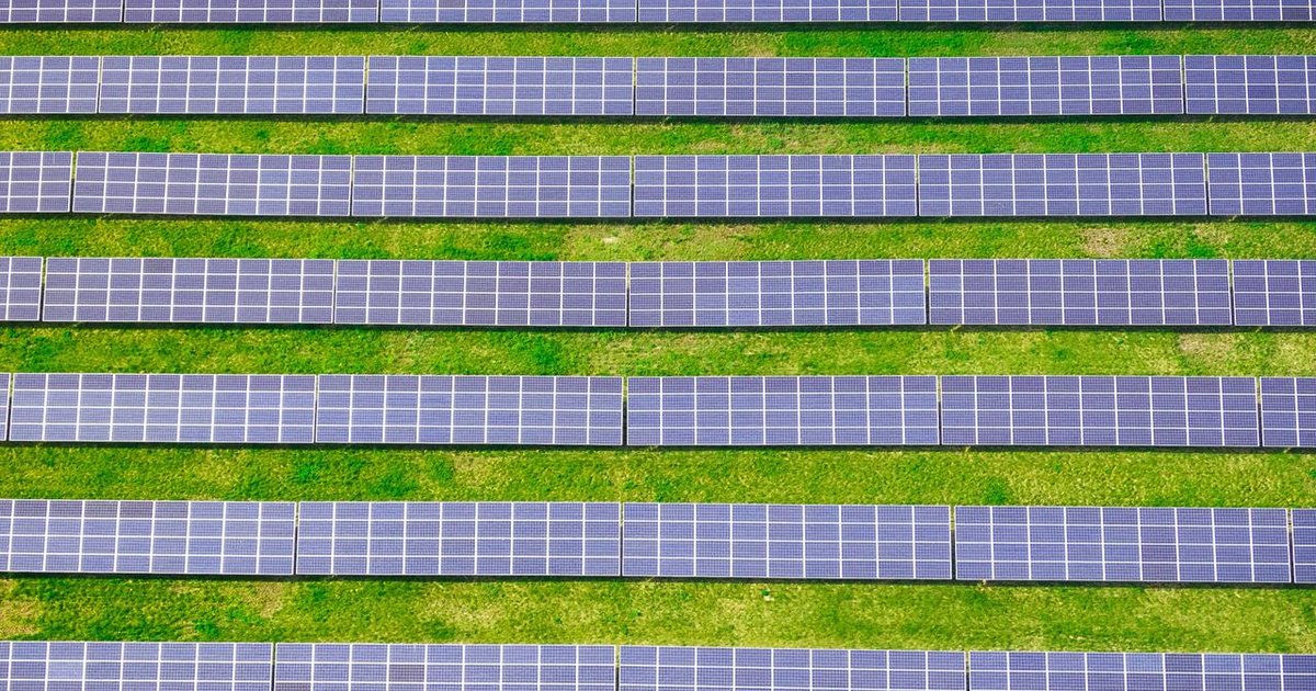 再生可能エネルギー供給の礎となる｜ 開発営業職をWanted！ - Bison energy株式会社の法人営業の採用 - Wantedly