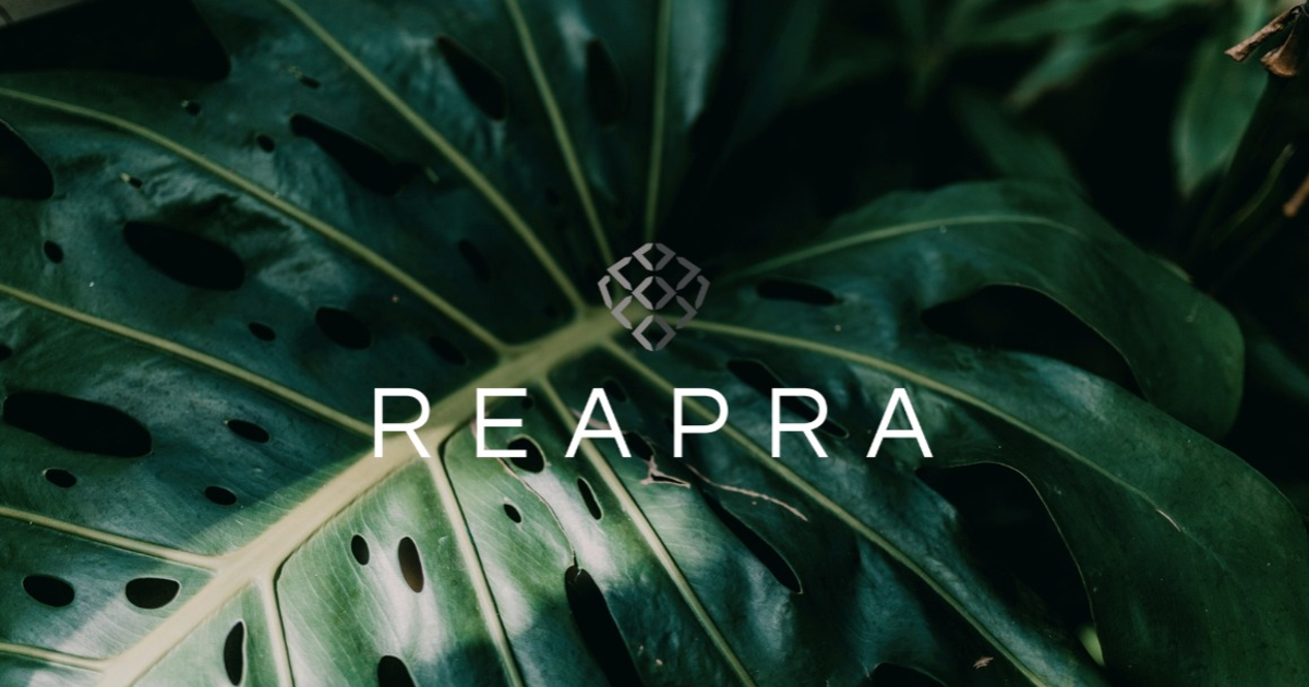 裁量大・リーダー直下｜時間・場所も自由｜起業家支援に挑み、圧倒的な成長へ - Reapra Japanのマーケティング・PRの採用 ...