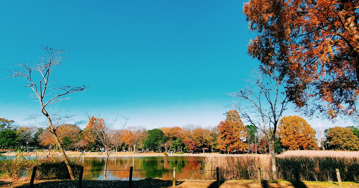 本気でエンジニアを目指すならENGEIで一緒に頑張りませんか？ - 株式会社ENGEIのWebエンジニアの採用 - Wantedly