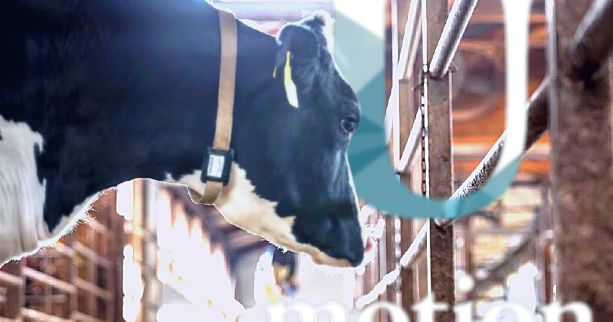 Ruby｜AI×IoT×ビックデータ｜日本の食糧問題に立ち向かう人を募集！ - デザミス株式会社のWebエンジニアの採用 - Wantedly