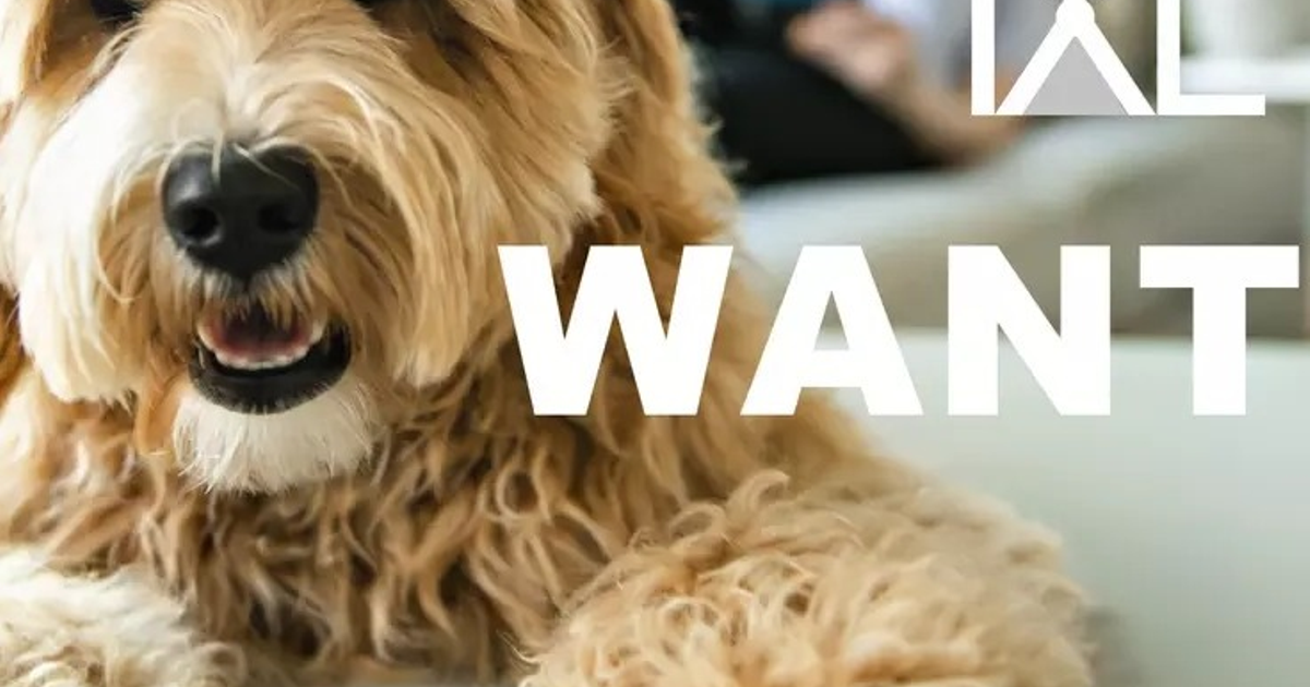 広告運用経験をデジタル広告運用スペシャリスト大募集！ - 株式会社TYLのWebマーケティングの採用 - Wantedly