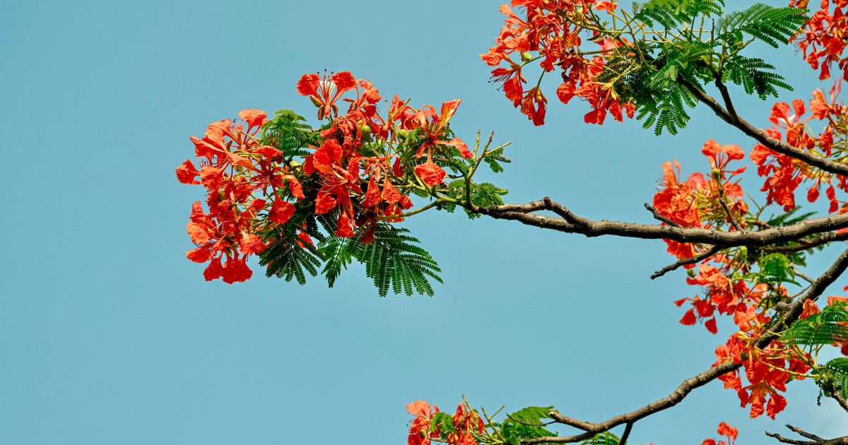 健康食品の業界出身歓迎！新規SaaSプロダクトをつくるPdM募集 - 株式会社世良のプロダクトマネージャーの採用 - Wantedly