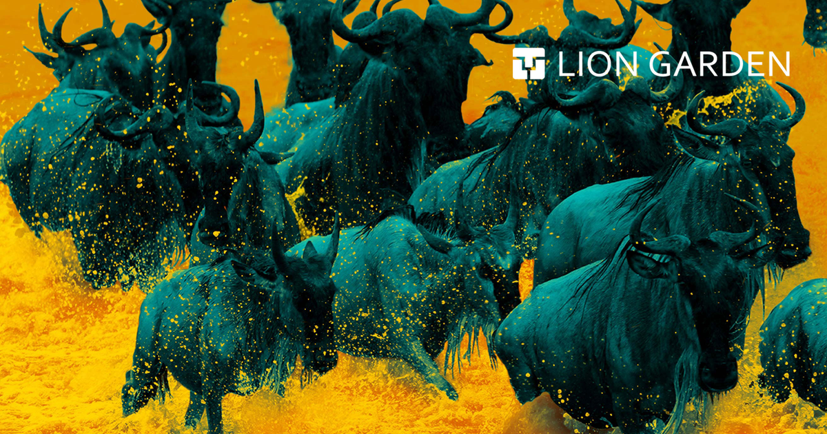 新規サービス特化の会社で100%Flutterでアプリ開発をしませんか - 株式会社LionGardenのモバイルエンジニアの採用 - Wantedly