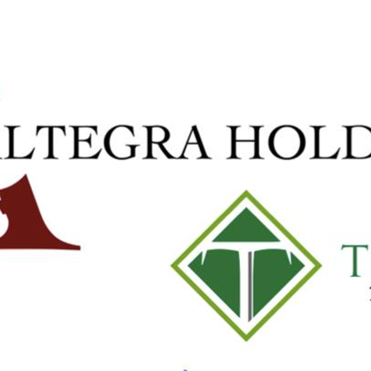 株式会社ALTEGRA.Holdingsの会社情報 - Wantedly