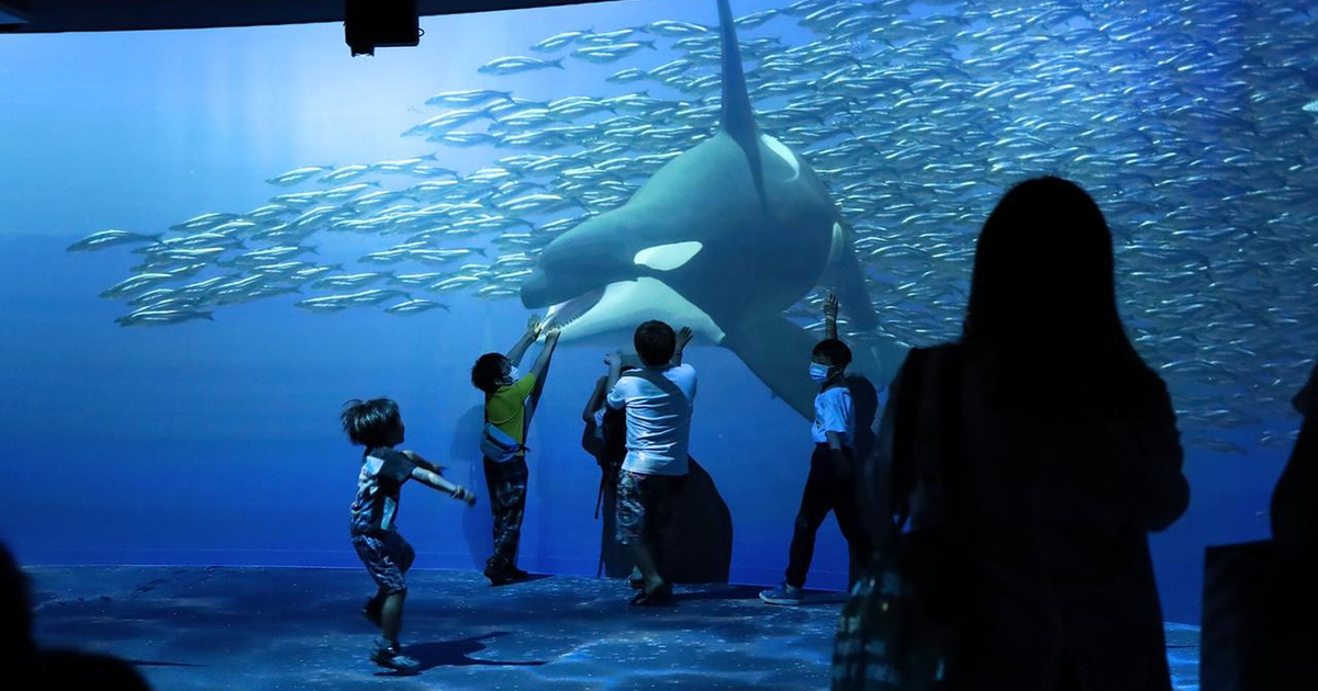 京都：3DCGデザイナー：ARやバーチャルコンテンツ、インスタレーション - 株式会社ワントゥーテンの動画クリエイターの採用 - Wantedly