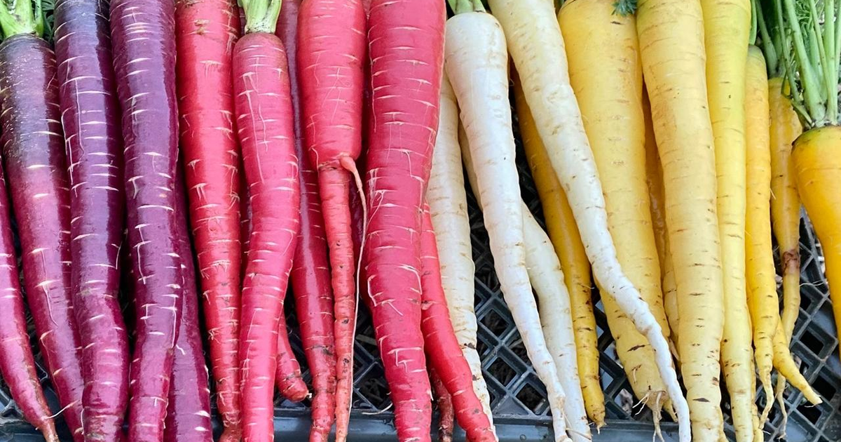 PHP経験者優遇。エンジニア募集。 - 合同会社REPOCのWebエンジニアの採用 - Wantedly