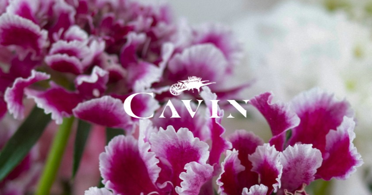 VPoP候補！急成長スタートアップのプロダクトチームを牽引したい方募集！ - CAVIN Inc.のエンジニアリングの採用 - Wantedly