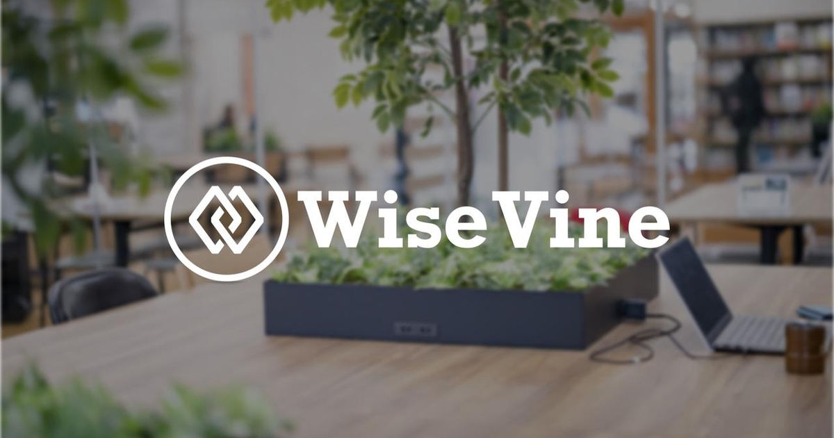 SaaS導入コンサルタントwanted!/GovTech領域スタートアップ - 株式会社WiseVineのITコンサルタントの採用 - Wantedly