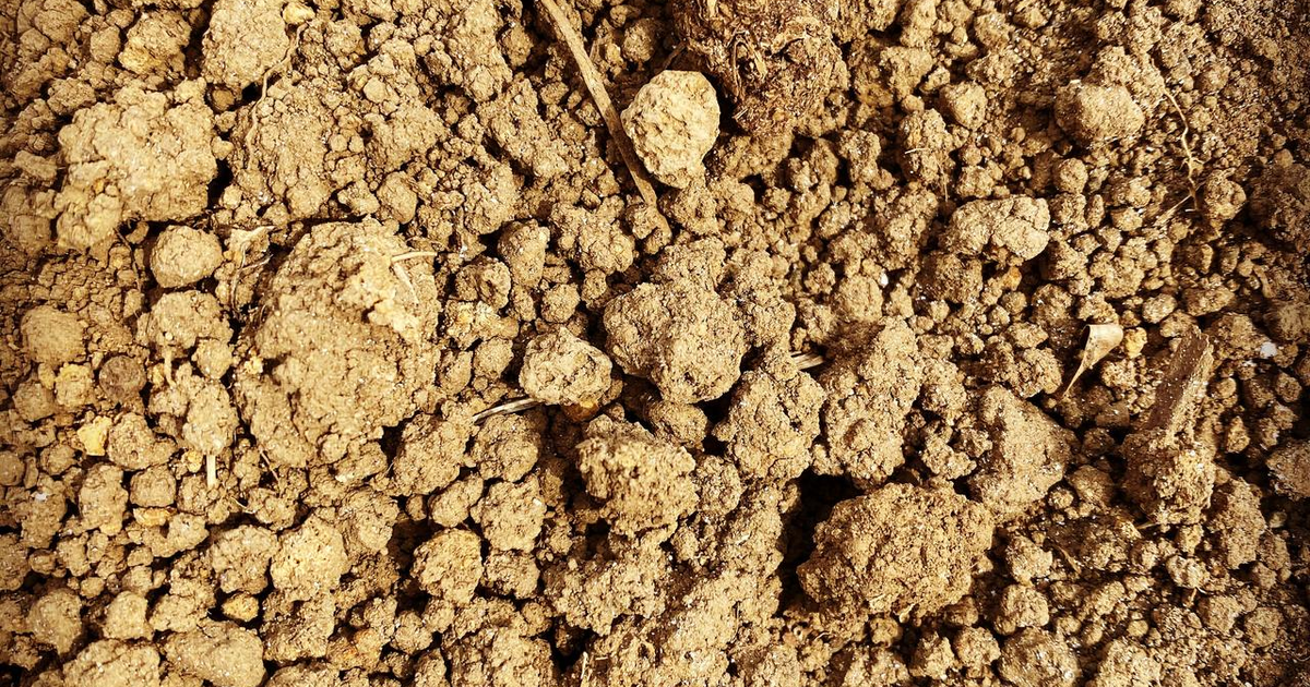 フロントエンジニア経験浅くても大丈夫。自社サービスメンバー募集 - 合同会社REPOCのWebエンジニアの採用 - Wantedly