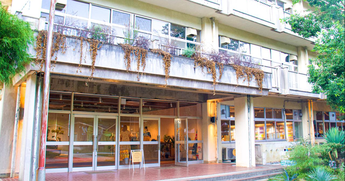 [社内イベント]自然の中でチームビルディング！夏の全社オフサイトMTGを行いました | thomas株式会社