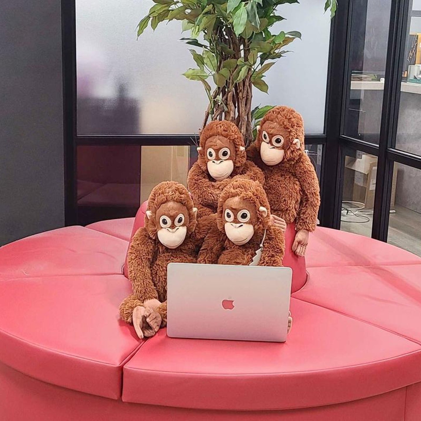 株式会社MONKEY TECHの会社情報 - Wantedly