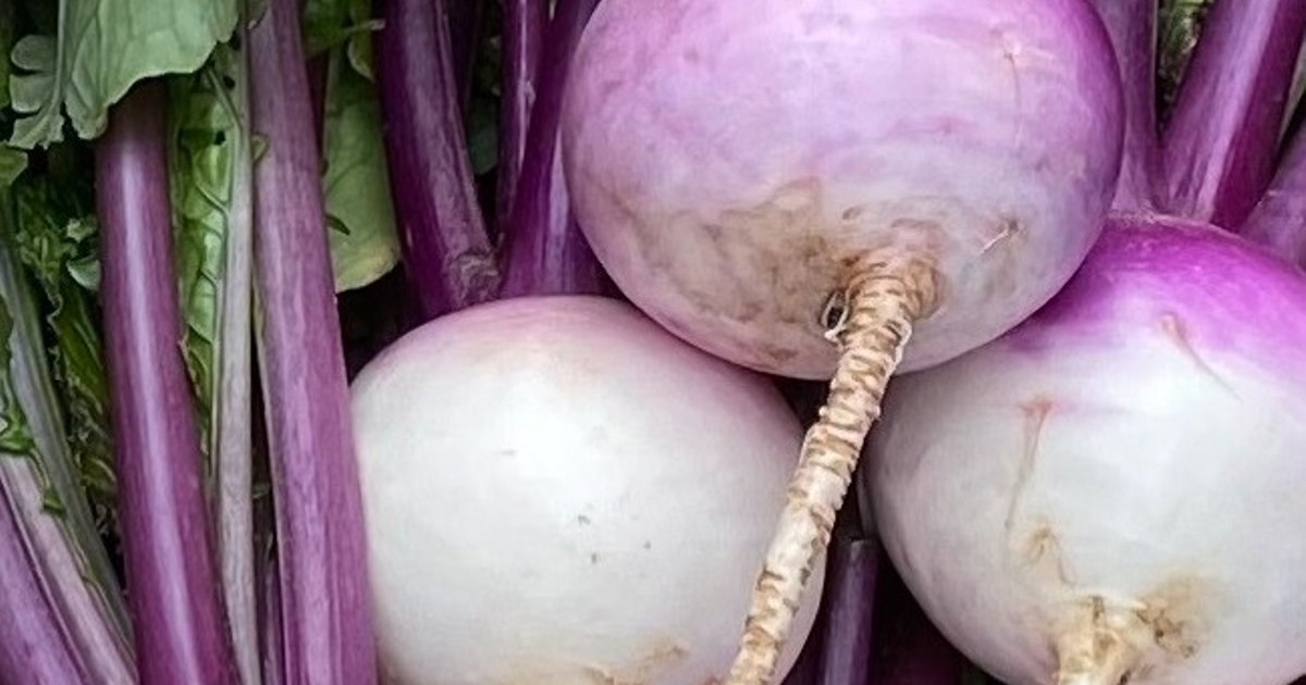 サーバーサイドエンジニア募集。PHP経験者優遇。 - 合同会社REPOCのWebエンジニアの採用 - Wantedly