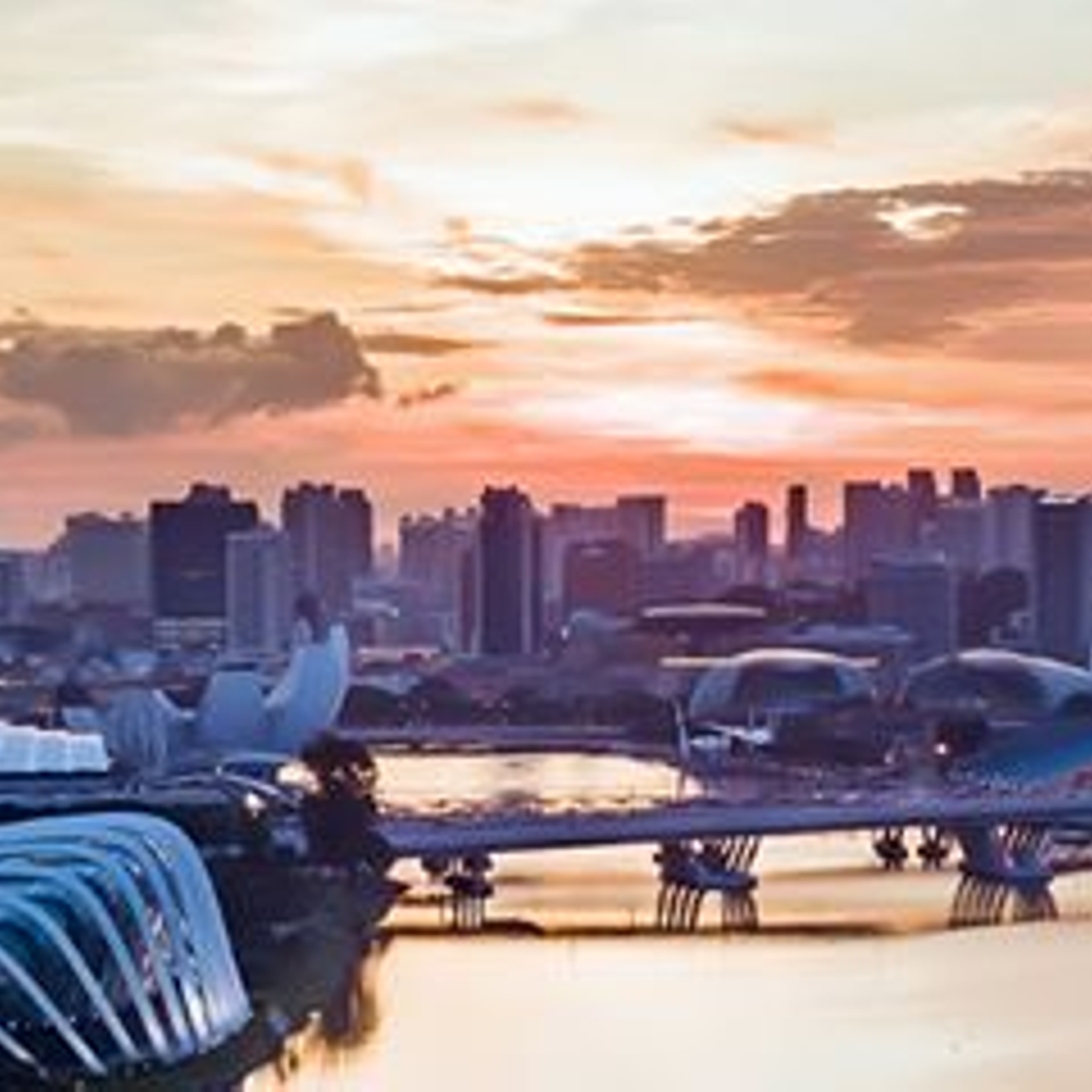 Open positions at Pace Ascension - Wantedly