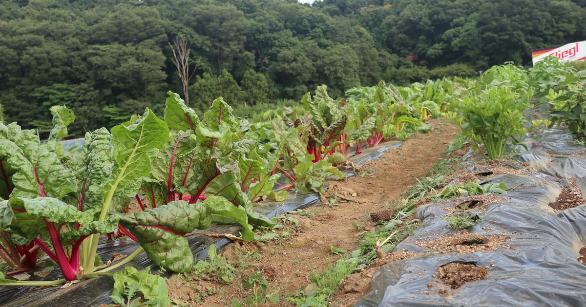 PHP経験者優遇。エンジニア募集。 - 合同会社REPOCのWebエンジニアの採用 - Wantedly