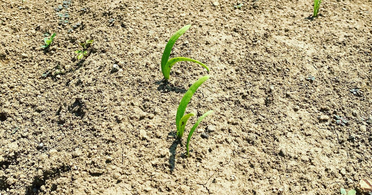 新規サービス開始。フロントエンジニア経験浅くても歓迎します！ - 合同会社REPOCのWebエンジニアの採用 - Wantedly