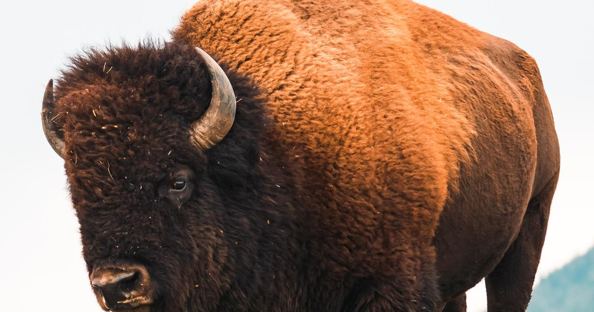 成長を感じた瞬間。 | 株式会社TEDDY WORKS