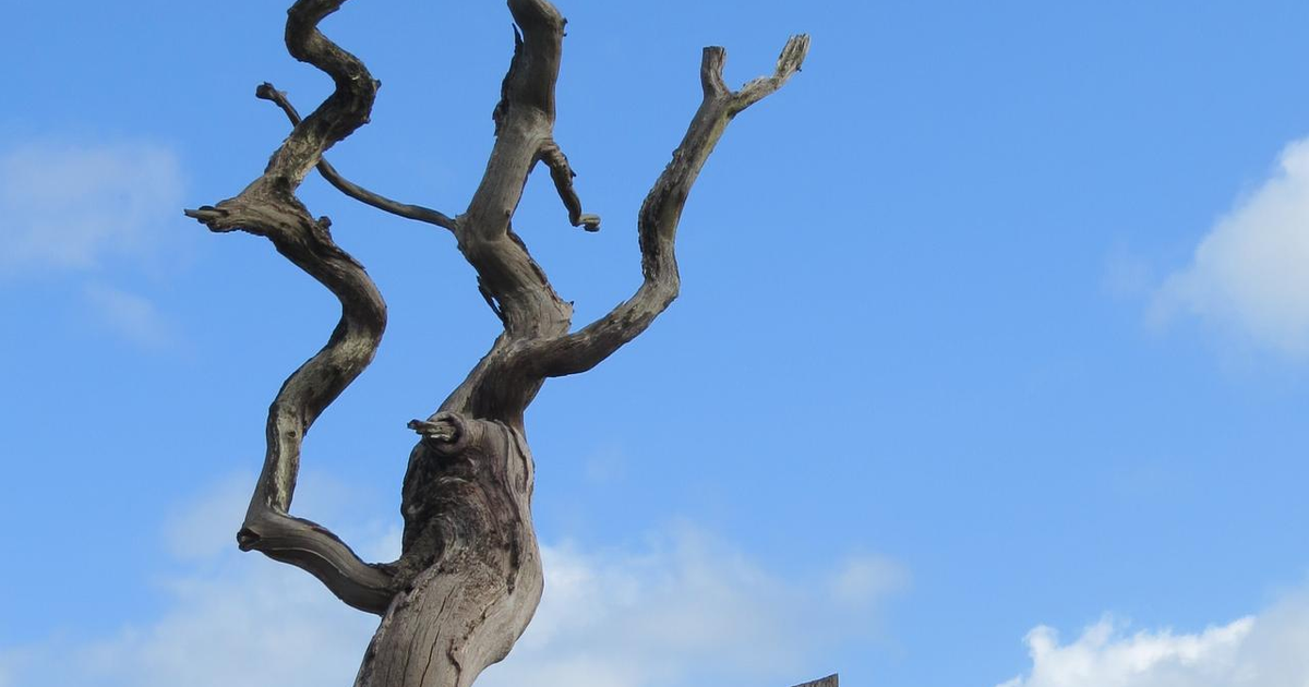 RubyKaigi 2023 参加記 #4 - How resolve Gem dependencies in your code?(Day 2) | Wantedly, Inc.