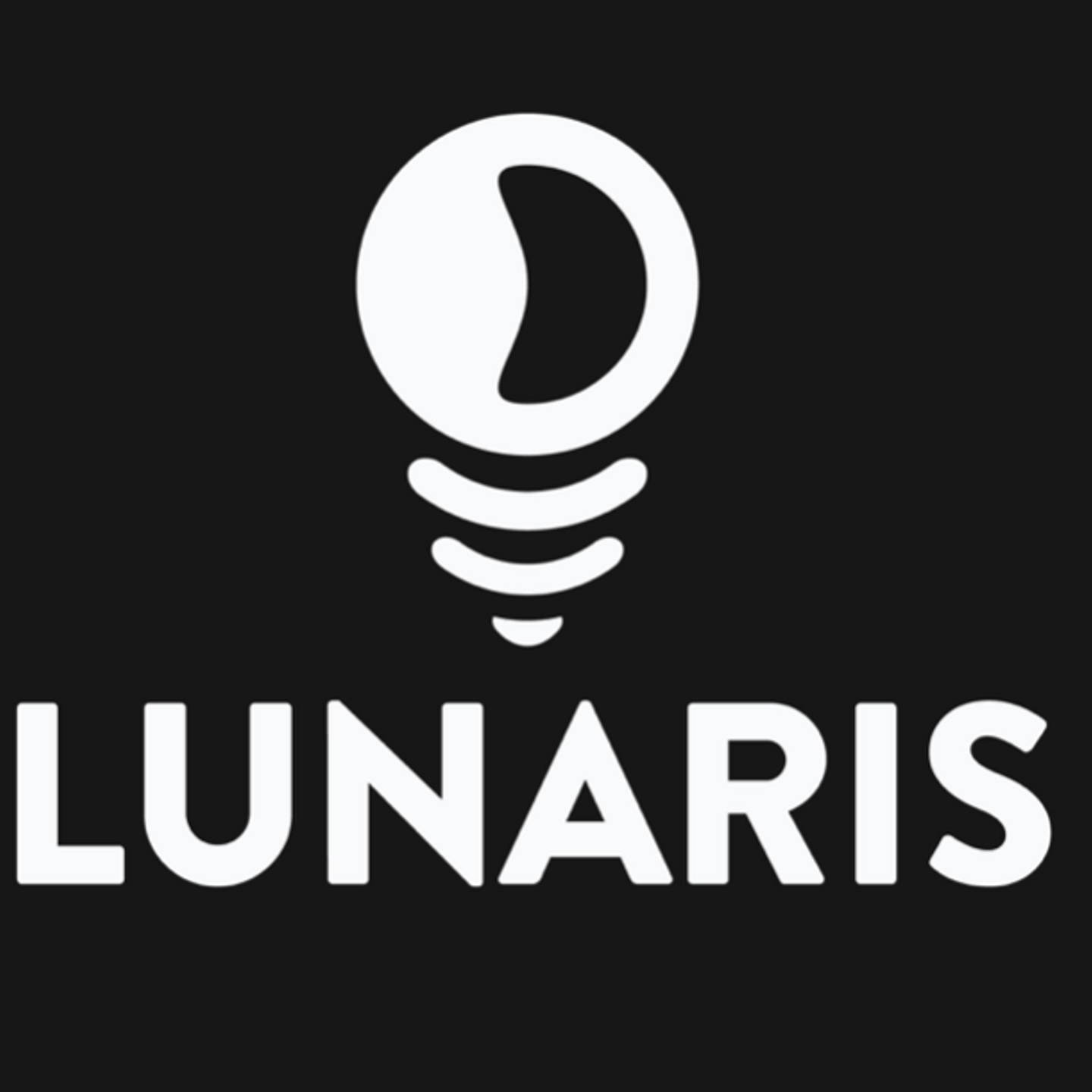 合同会社Lunarisの事業とカルチャー - Wantedly