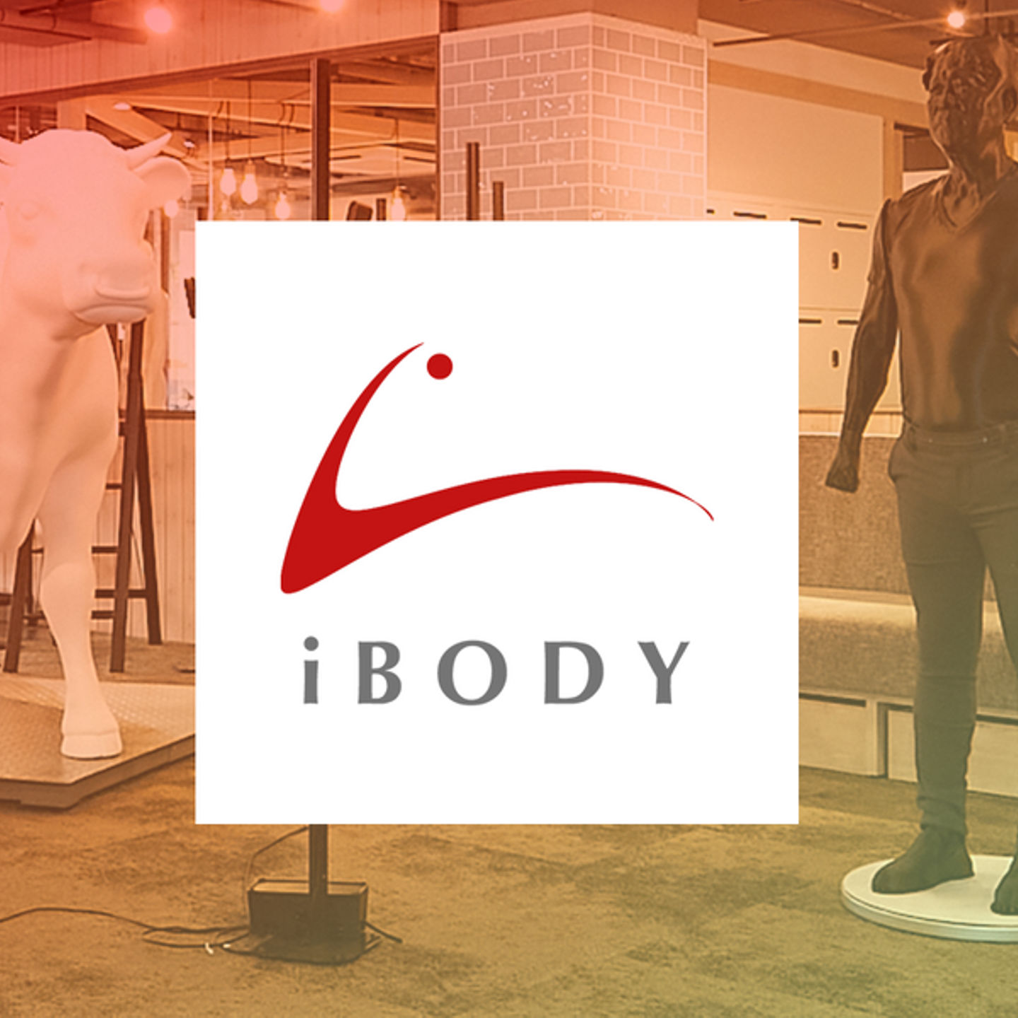 iBODY JAPAN株式会社の会社情報 - Wantedly