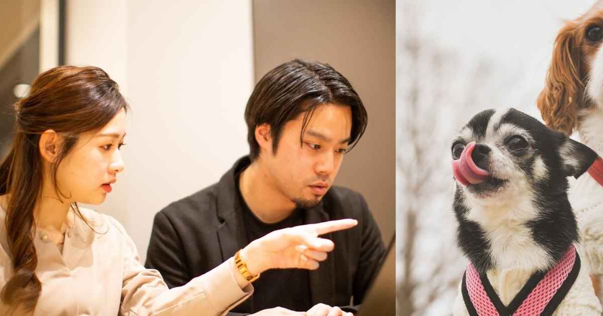 社長直下ポジで圧倒的成長！EC×SNSの急成長D2Cベンチャーでインターン - FORCE-R株式会社のWebマーケティングの採用 - Wantedly