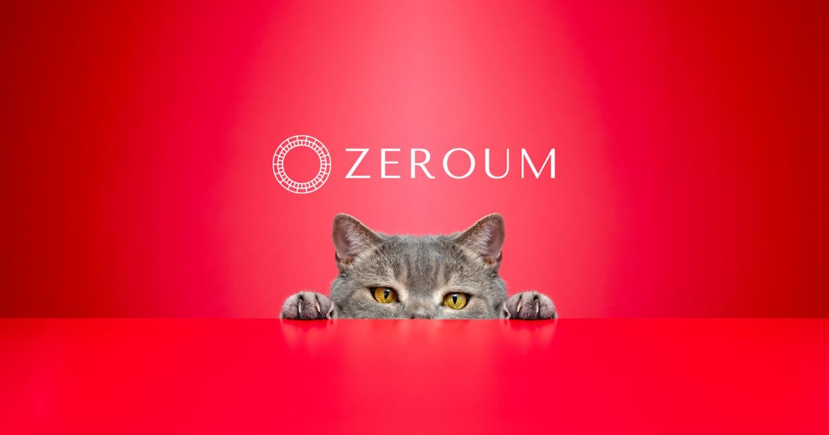 大学生必見！マーケティングスキルを身につけて同世代をぶっちぎろう！ - ZEROUM株式会社のWebマーケティングの採用 - Wantedly