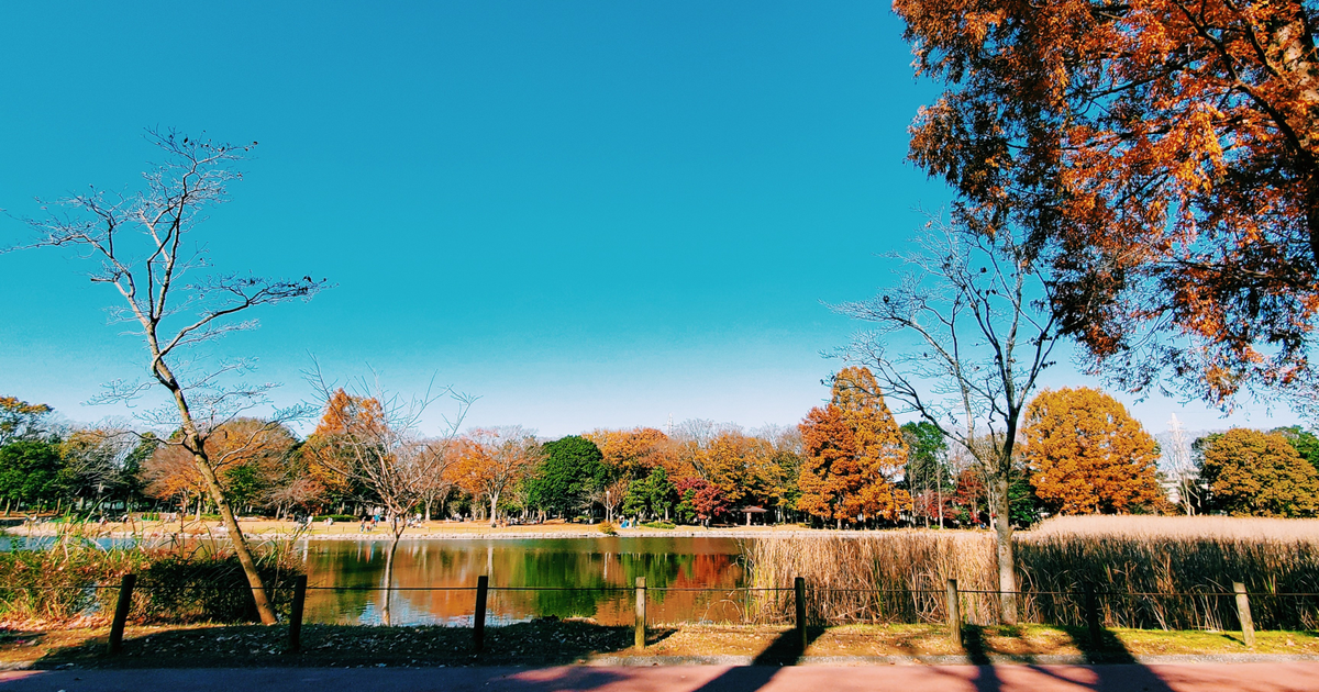 ENGEIで英語とプログラミングを勉強して、グローバル人材を目指そう！ - 株式会社ENGEIのWebエンジニアの採用 - Wantedly