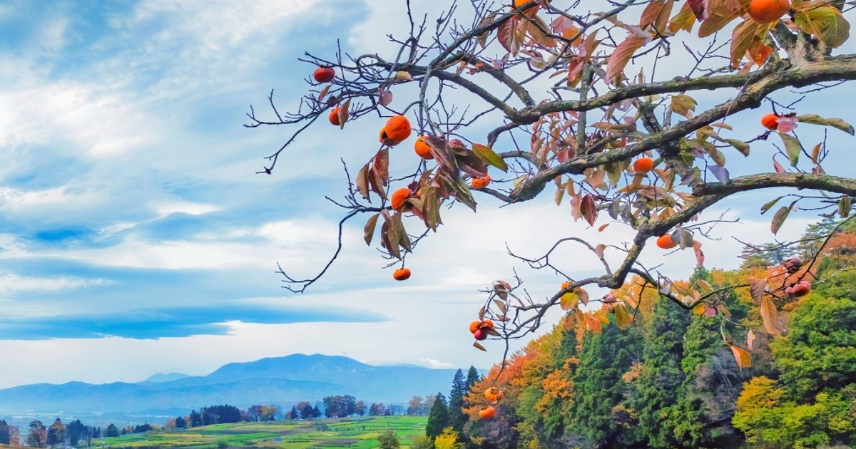 地方創生。地方でも働ける場をつくる。想いに共感して頂ける方募集中 - H＆M Software株式会社のWebエンジニアの採用 - Wantedly