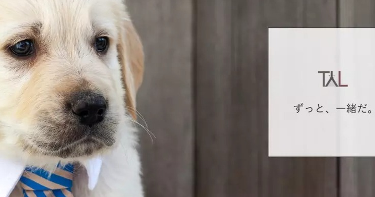 24新卒募集！すごいベンチャー100選！ペット×IT領域のスタートアップ！ - 株式会社TYLのキャリアコンサルタントの採用 - Wantedly