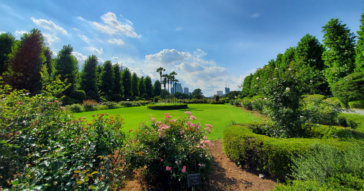 初心者積極採用中！WEBエンジニアとしてキャリアチェンジしたい人集合！ - 株式会社ENGEIのWebエンジニアの採用 - Wantedly