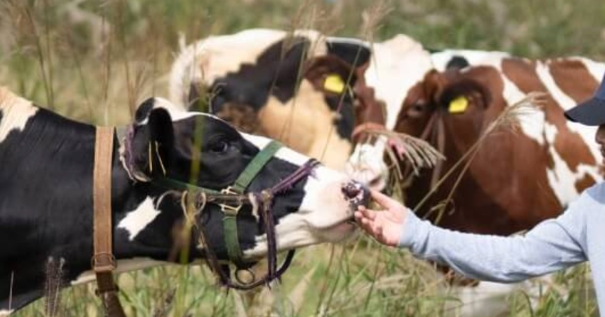 乳酸菌で世界的に深刻な環境問題を解決！｜仕事に胸をはれる商材 - 株式会社Koagoの法人営業の採用 - Wantedly