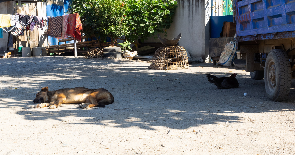 累計12万ユーザー！在庫管理SaaSが社会を救うRuby・Rails開発者 - 株式会社ZAICOのWebエンジニアの採用 - Wantedly