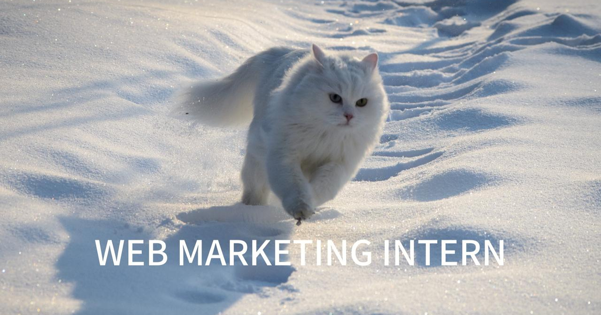 経験ゼロでも大歓迎！ Webマーケティングに挑戦したい人を募集！ - ZEROUM株式会社のWebマーケティングの採用 - Wantedly