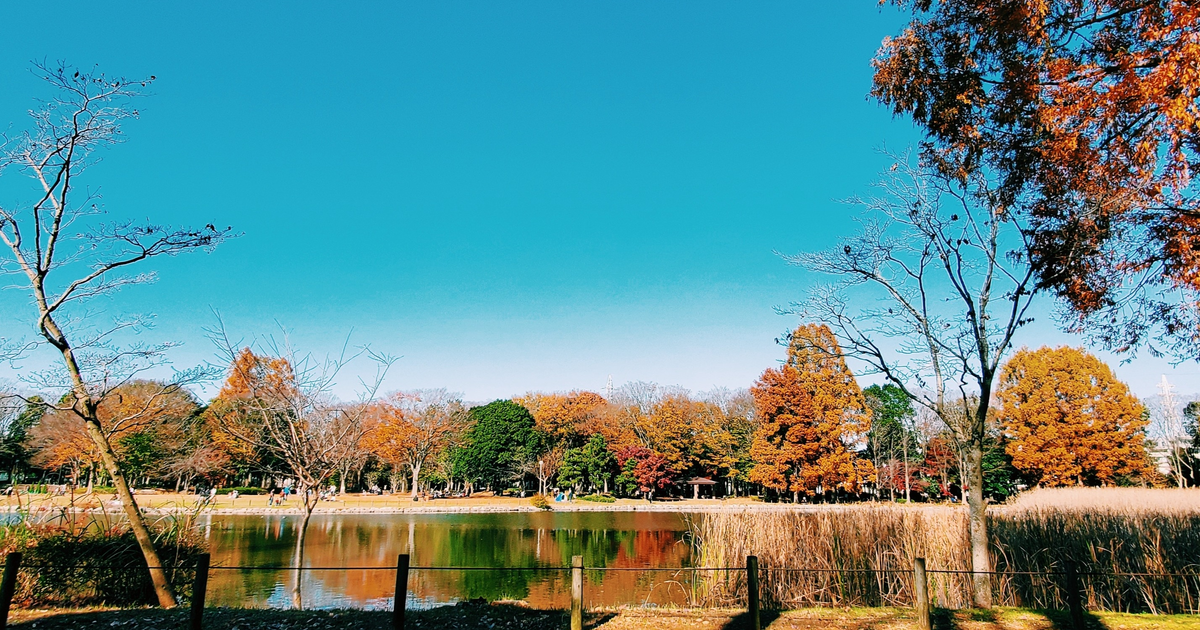 転職前提での入社歓迎！ENGEIでゼロからWEBエンジニアを目指そう！ - 株式会社ENGEIのWebエンジニアの採用 - Wantedly