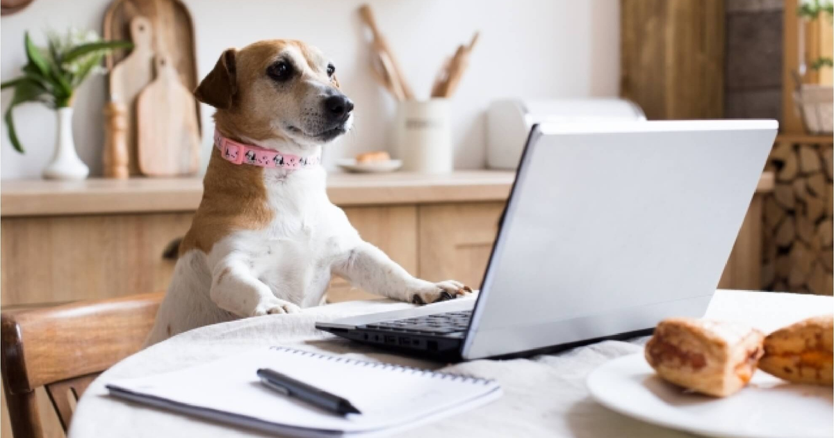 デザイン力で会社を加速させるWebデザイナー募集！ - 株式会社TYLのデザイン・アートの採用 - Wantedly