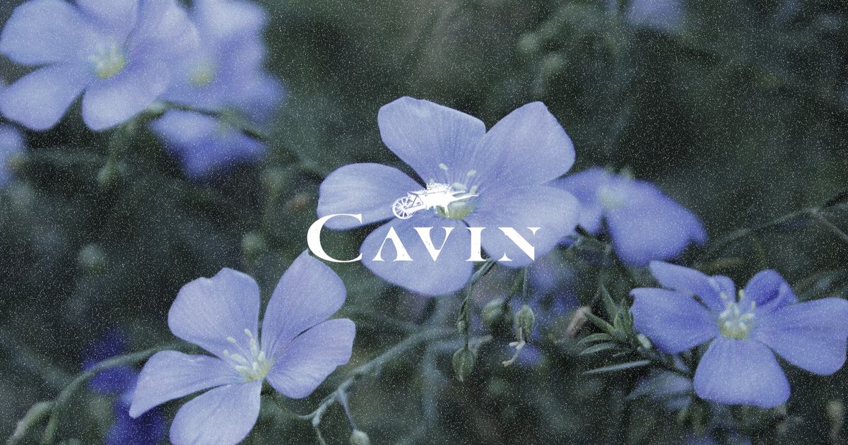 プロダクトマネージャー｜CAVINが目指す世界を一緒につくりませんか？ - CAVIN Inc.のプロダクトマネージャーの採用 - Wantedly