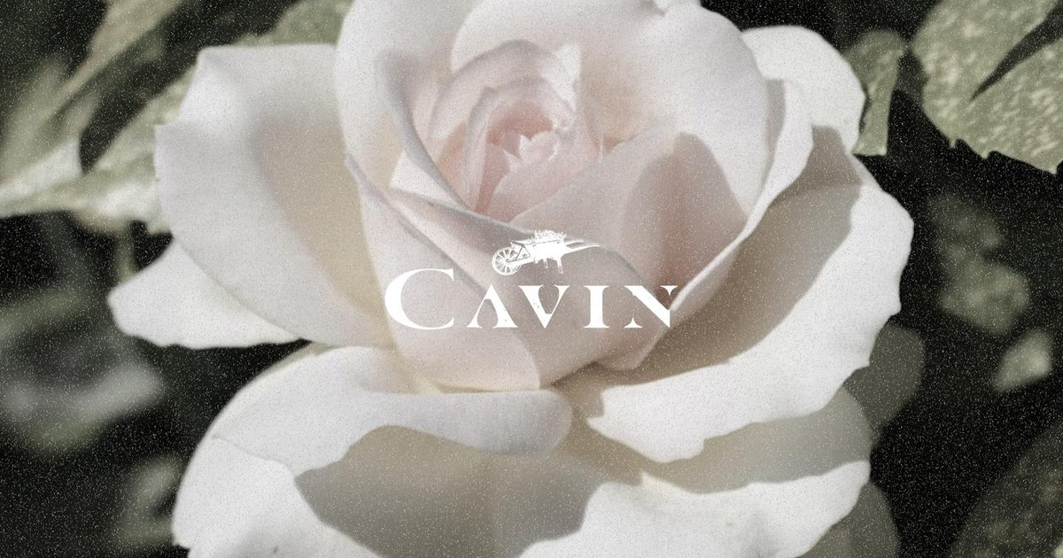 花の魅力を最大化！裁量広くチャレンジしたい撮影モデル募集！ - CAVIN Inc.のその他の採用 - Wantedly