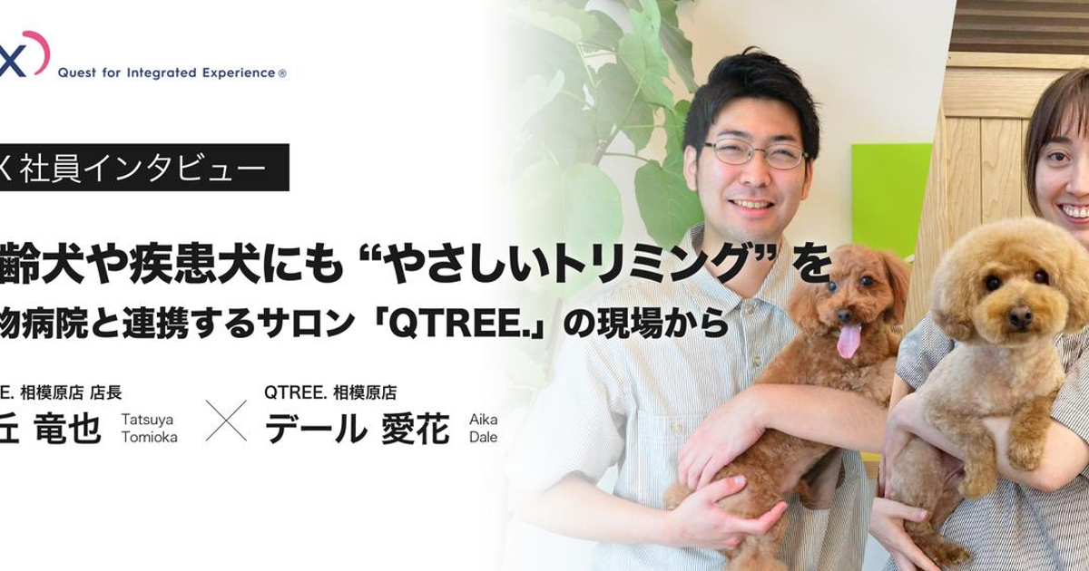 高齢犬や疾患犬にも“やさしいトリミング”を。動物病院と連携するサロン「QTREE.」の現場から | 株式会社QIX