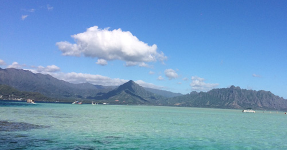 HAWAII | 株式会社WETCH