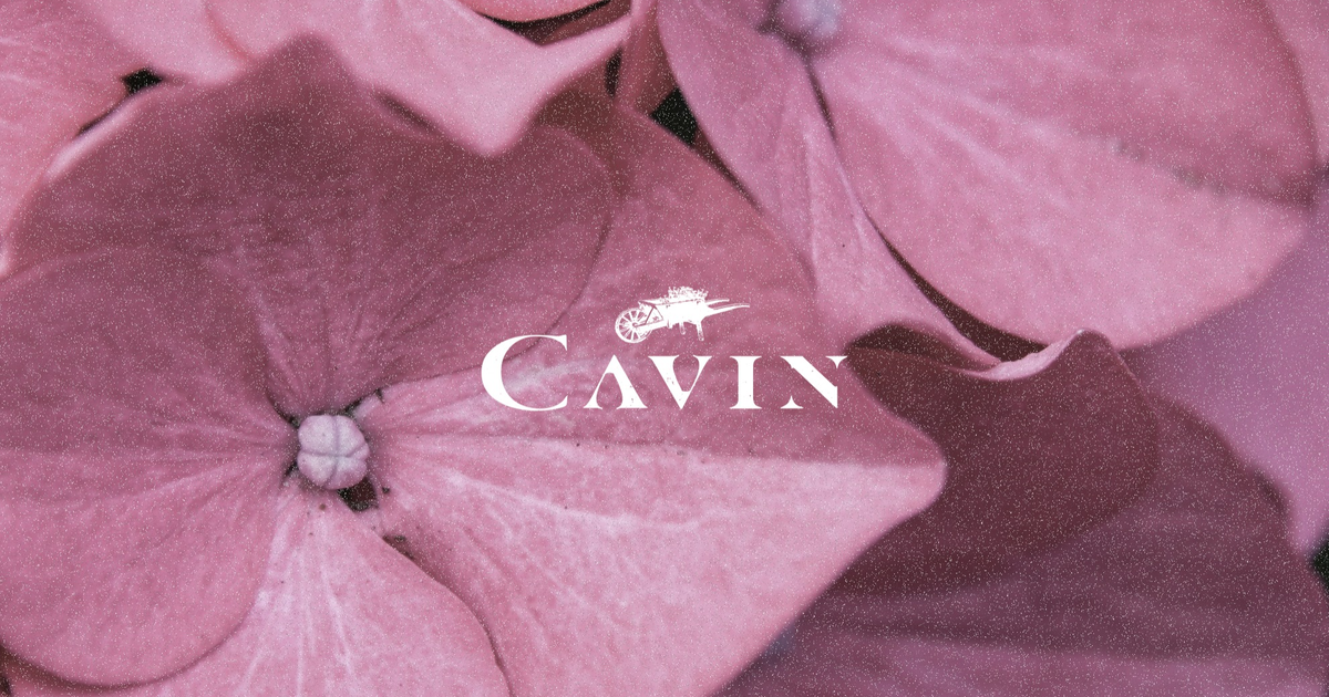 オープンポジション｜CAVINが目指す世界を一緒につくりませんか？ - CAVIN Inc.のセールス・事業開発の採用 - Wantedly